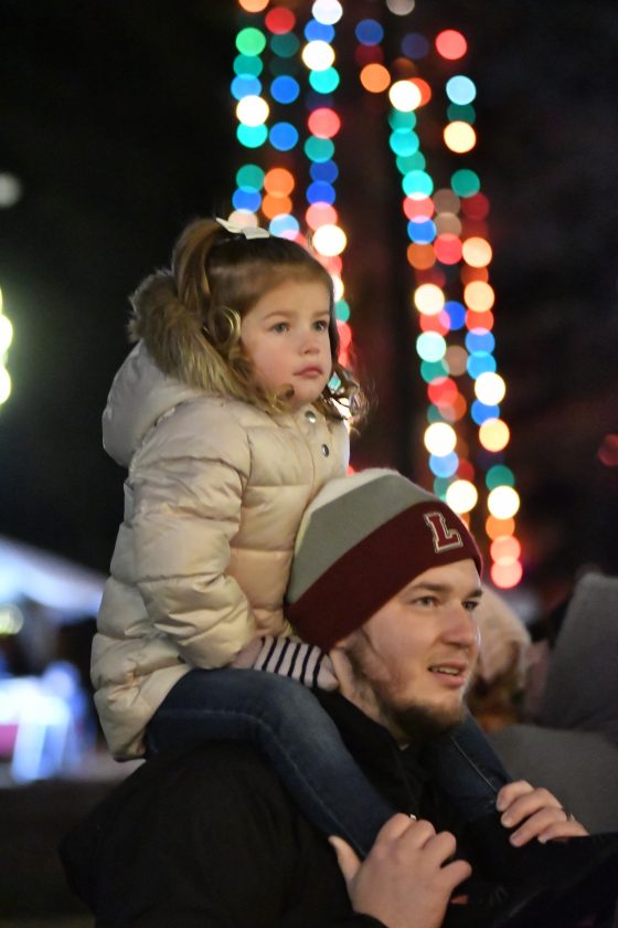 Festival of Lights to bring holiday fun; other areas to host similar ...